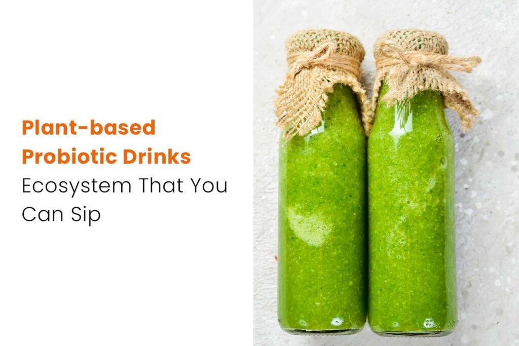Top Fermented And Probiotic Drinks Trends For Gut Health 2025 | Foodsure