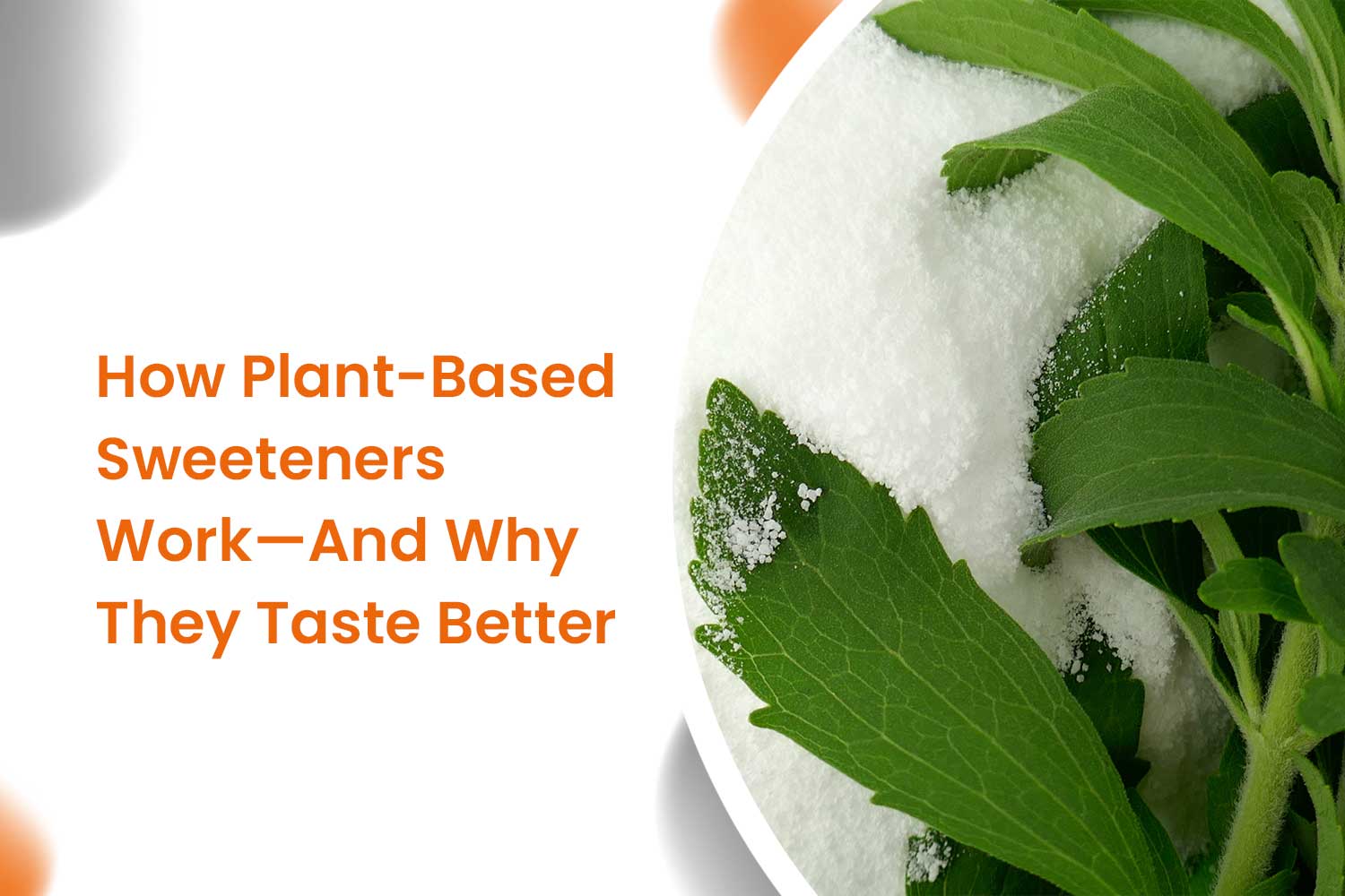 Unlock Best Plant-Based Sweeteners Power In 2025